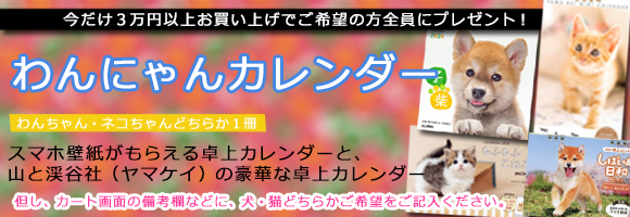 ZZZSSS 『ユニフィス』ユニフォームの通販